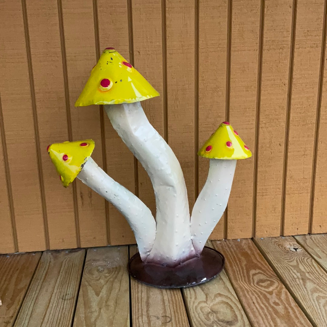 Triple Mushroom – KelleyFarmandBloom